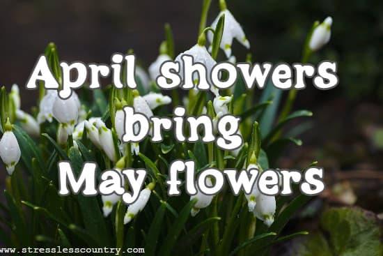 31 May Quotes, A Month of Growth and Renewal