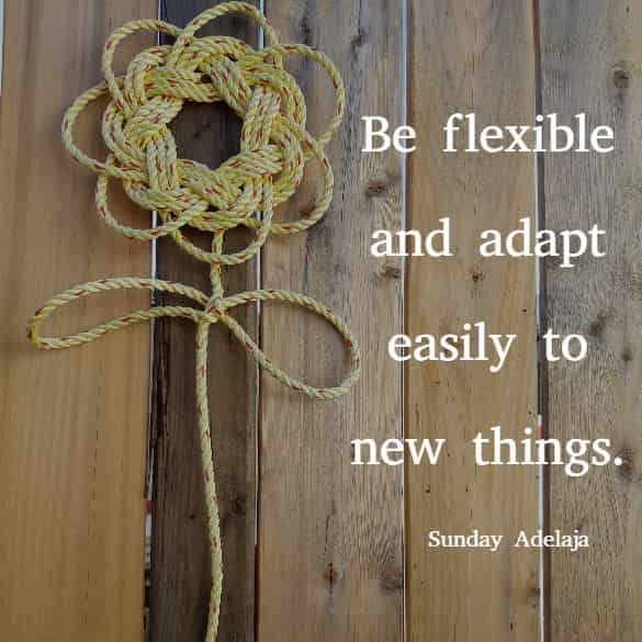 Adaptation Quotes