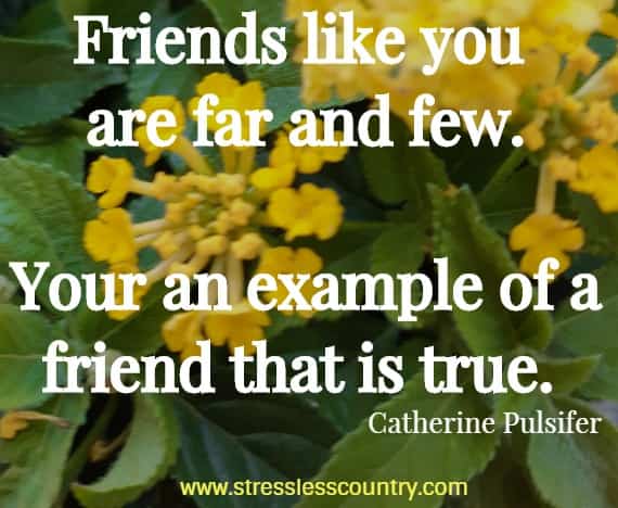 39 Meaningful Friendship Quotes, Short and Heartwarming Words