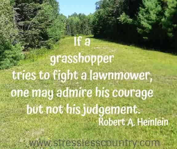 Grasshopper Poem, Short Poems and Quotes