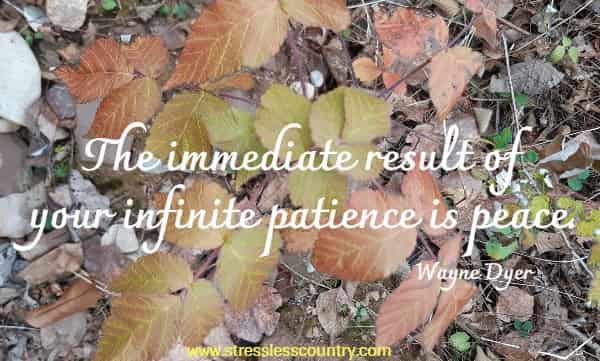 52 Patience Quotes, Short Quotes
