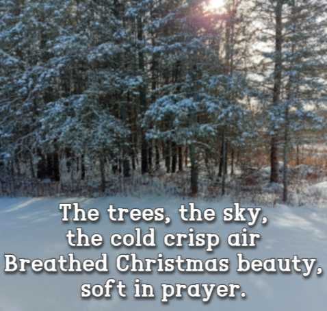 Christmas Poems, Celebrate the Joy of the Season