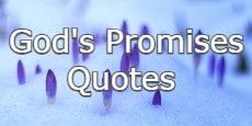 22 Quotes About God's Promises, Reliable and True