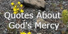 25 Quotes About God's Mercy, Endless Love and Forgiveness