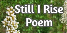 Still I Rise Poem, A Famous Poem by Maya Angelou